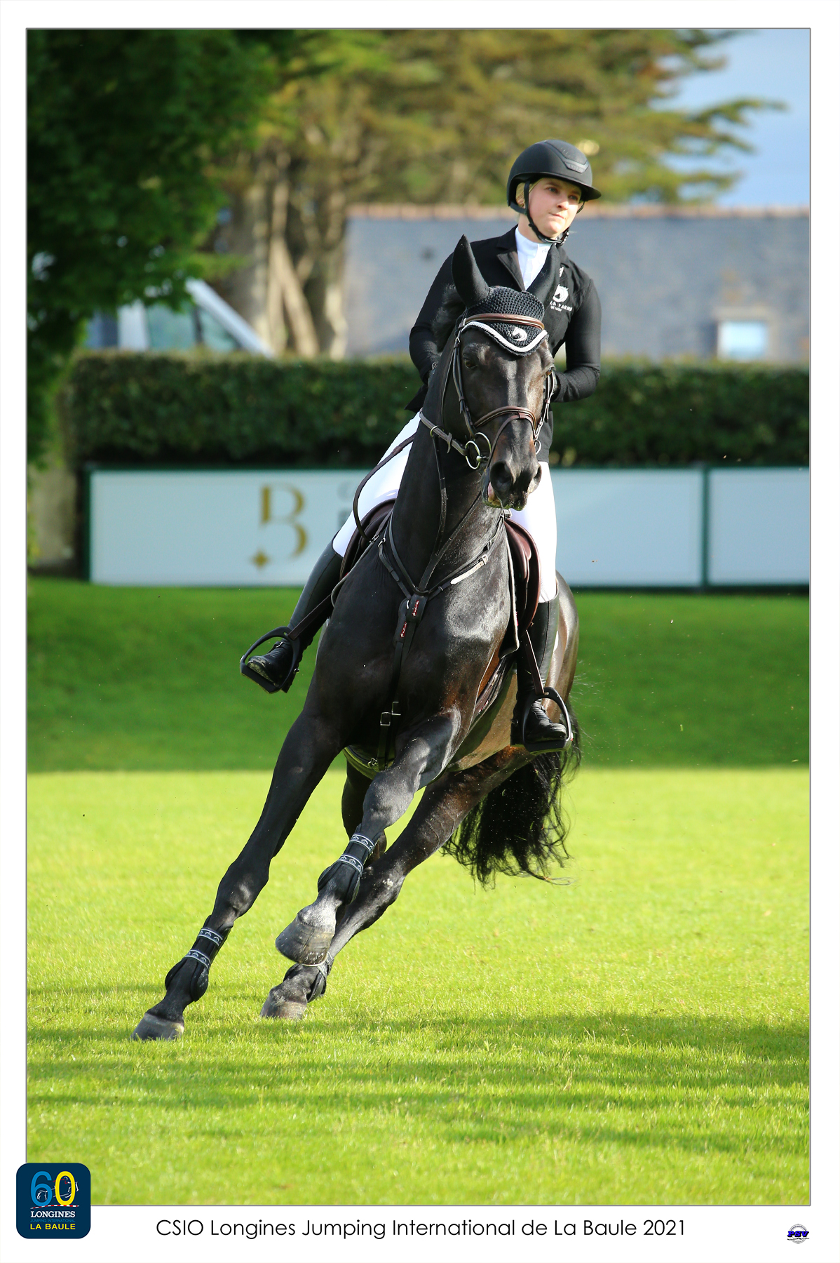 Copain du Perchet CH | Cheval Suisse